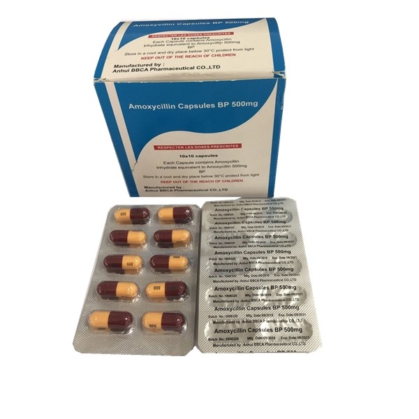 GMP Pharmaceutical Amoxycillin Capsules 500 Mg